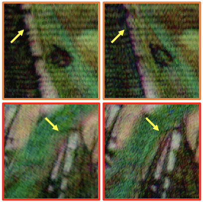 Praneeth Chakravarthula, UNC